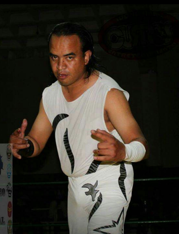 File:Venom (San Luis Potosí).jpg - Luchawiki