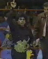 CMLL World Minis Championship - Luchawiki