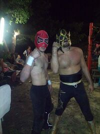 Insectus - Luchawiki