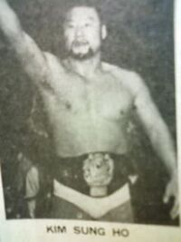 Kim Sung Ho - Luchawiki