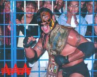 Cibernético - Luchawiki